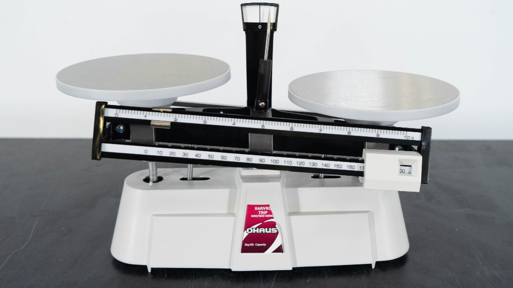 Harvard Trip Balance